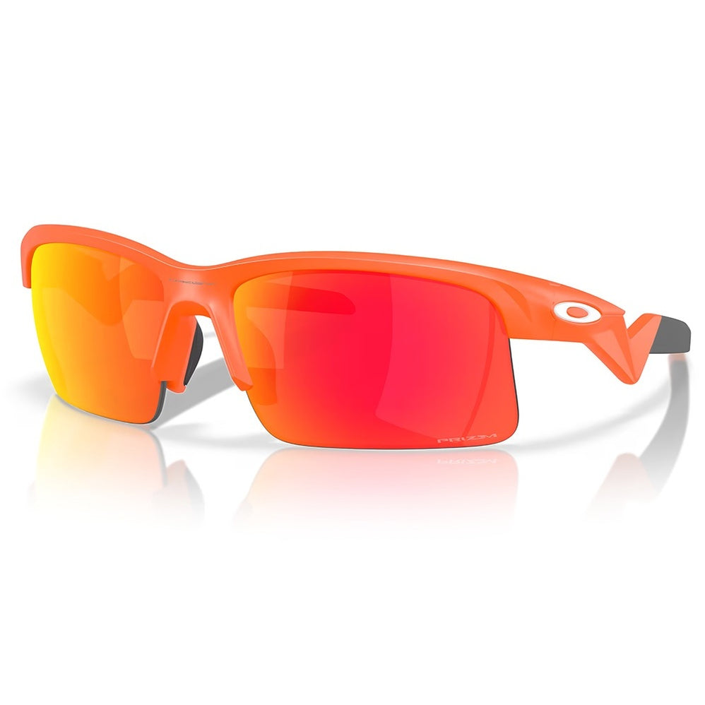 Forza New Zealand | Dirt bike, Pit bikes, MotoX, MTB, Gears, Parts — FORZA