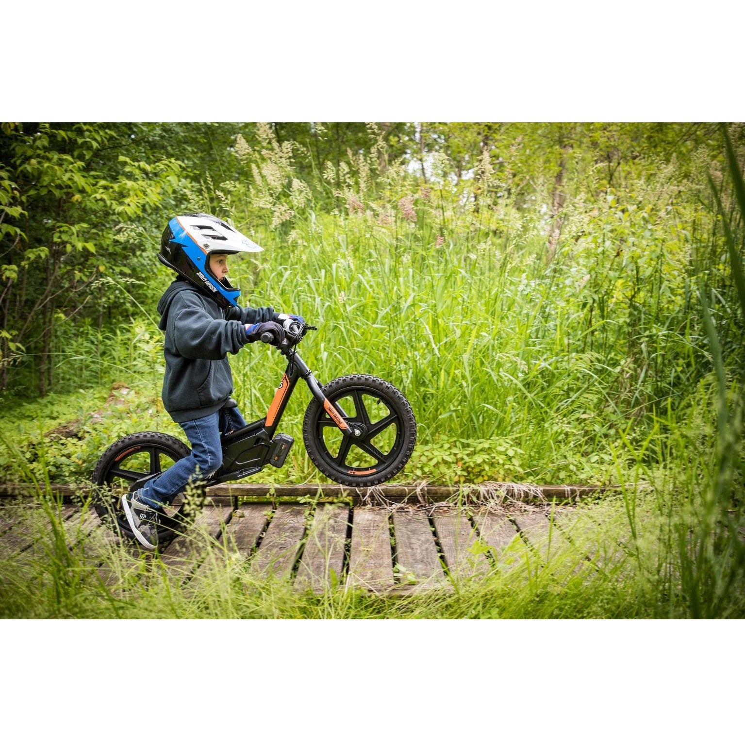 **HARLEY-DAVIDSON STACYC IRONE16™ BRUSHLESS - Electric Balance Bike — FORZA